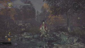 Nioh 2 Remastered Вы — Nioh (PLATINUM)