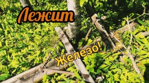 Этот металл валялся у всех на глазах!