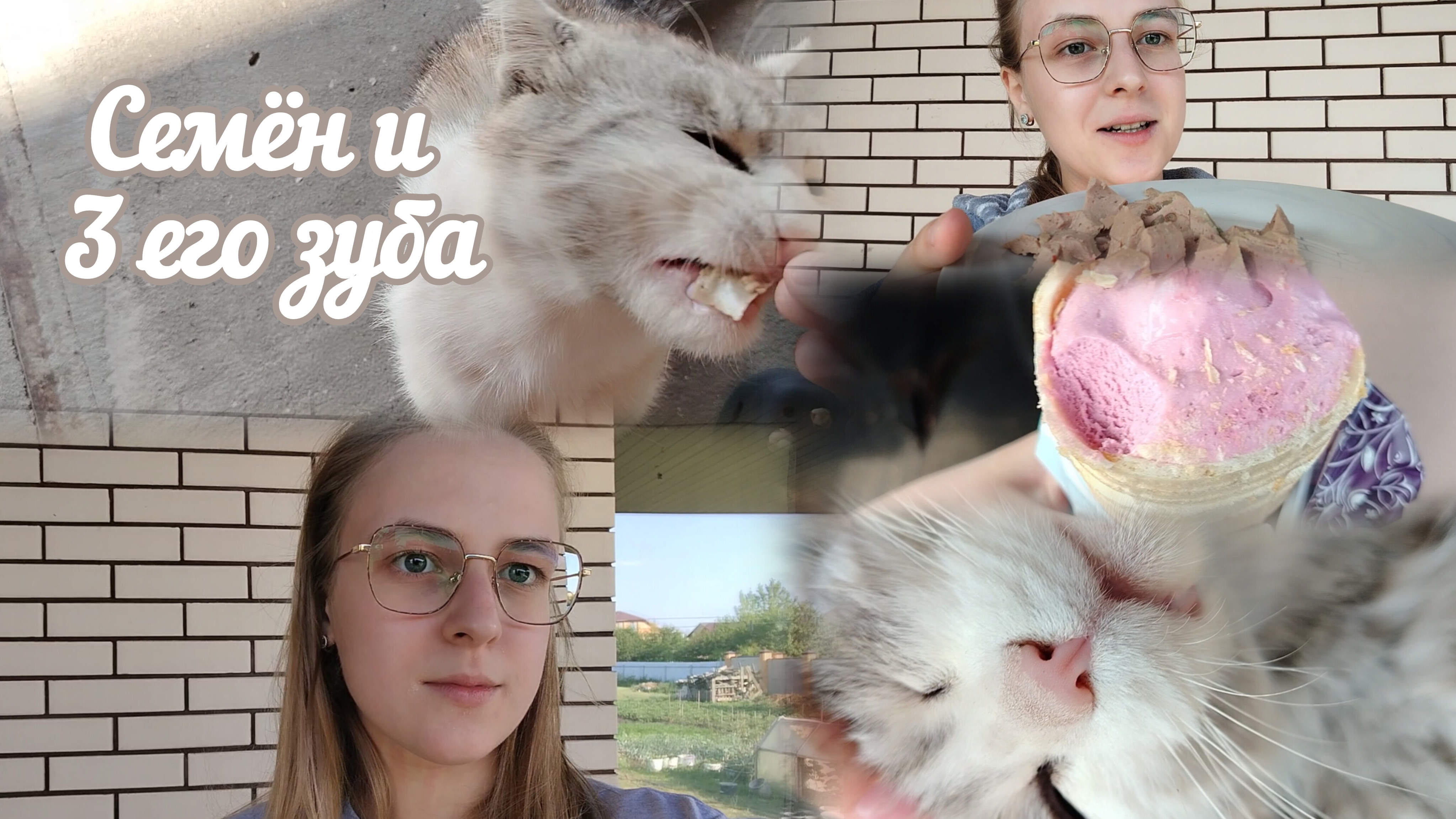 VLOG Как Семён кушает без зубов?🦷 Первые закрутки огурцов!🥒