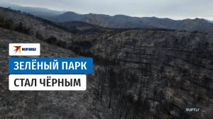 Лесные пожары в Испании уничтожили треть природного парка Els Ports