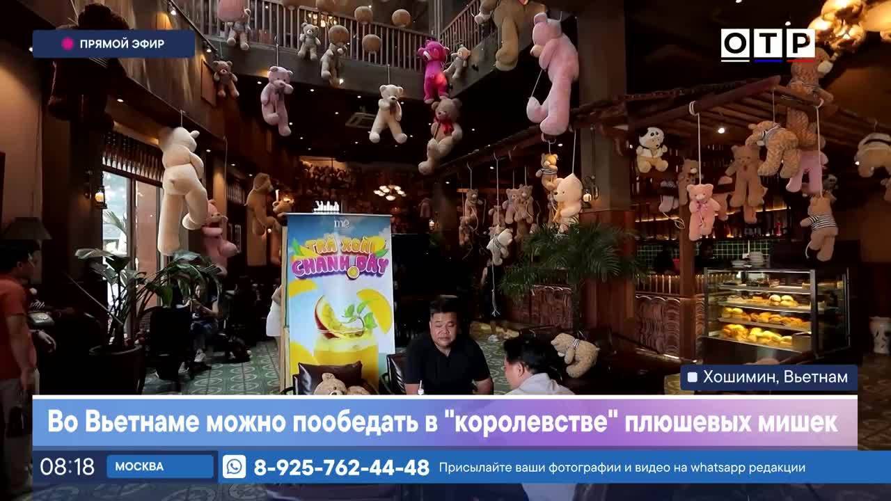 Во Вьетнаме можно пообедать в «королевстве плюшевых мишек»