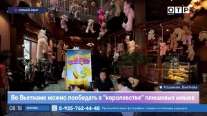 Во Вьетнаме можно пообедать в «королевстве плюшевых мишек»