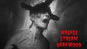 Заглянем в самые тёмные уголки леса! Прохождение Darkwood!