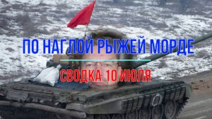 По наглой рыжей морде, сводка 10 июля