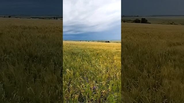 Начало грозы и великий Бетховен!