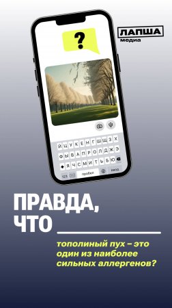 ТОПОЛИНЫЙ ПУХ НЕ ВЫЗЫВАЕТ АЛЛЕРГИЮ