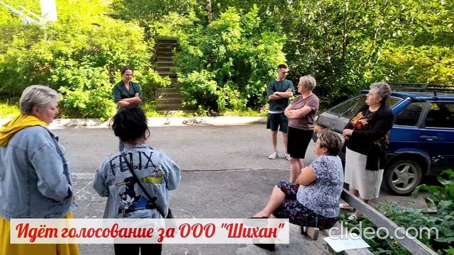 Голосуем за Шихан