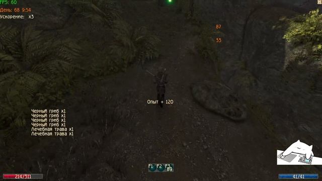 Gothic 2 YAUP | 4
