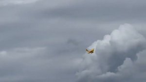 de Havilland DH.82 Tiger Moth 4