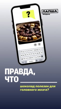 РЕАЛЬНО ЛИ ШОКОЛАД ПОЛЕЗЕН ДЛЯ МОЗГА