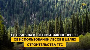 ГД приняла в I чтении законопроект об использовании лесов в целях строительства ГТС