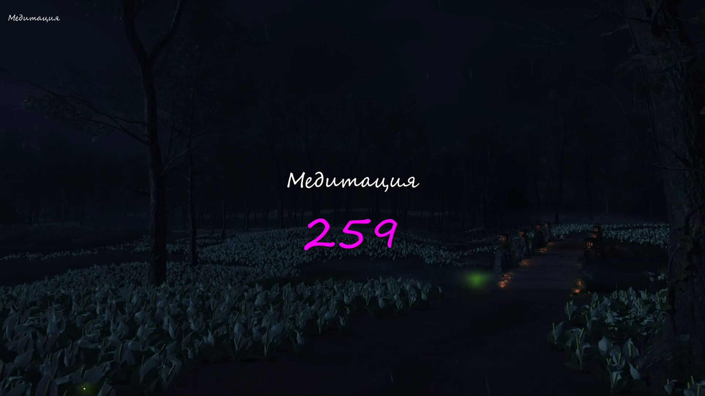 ✨ *"Волшебный ночной дождь с светлячками | Уютный сон, релакс, медитация"*