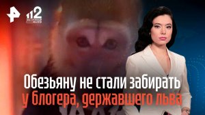 Обезьяну не стали забирать у сургутского блогера, державшего льва в сарае