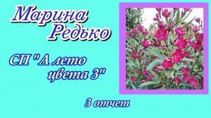 СП "А лето цвета 3..." / 3 отчет / Участник №35