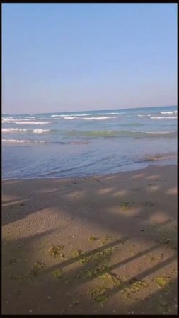 перезалили летнее настроение 🤩🌊🐚