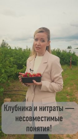 Клубника и нитраты — несовместимые понятия!