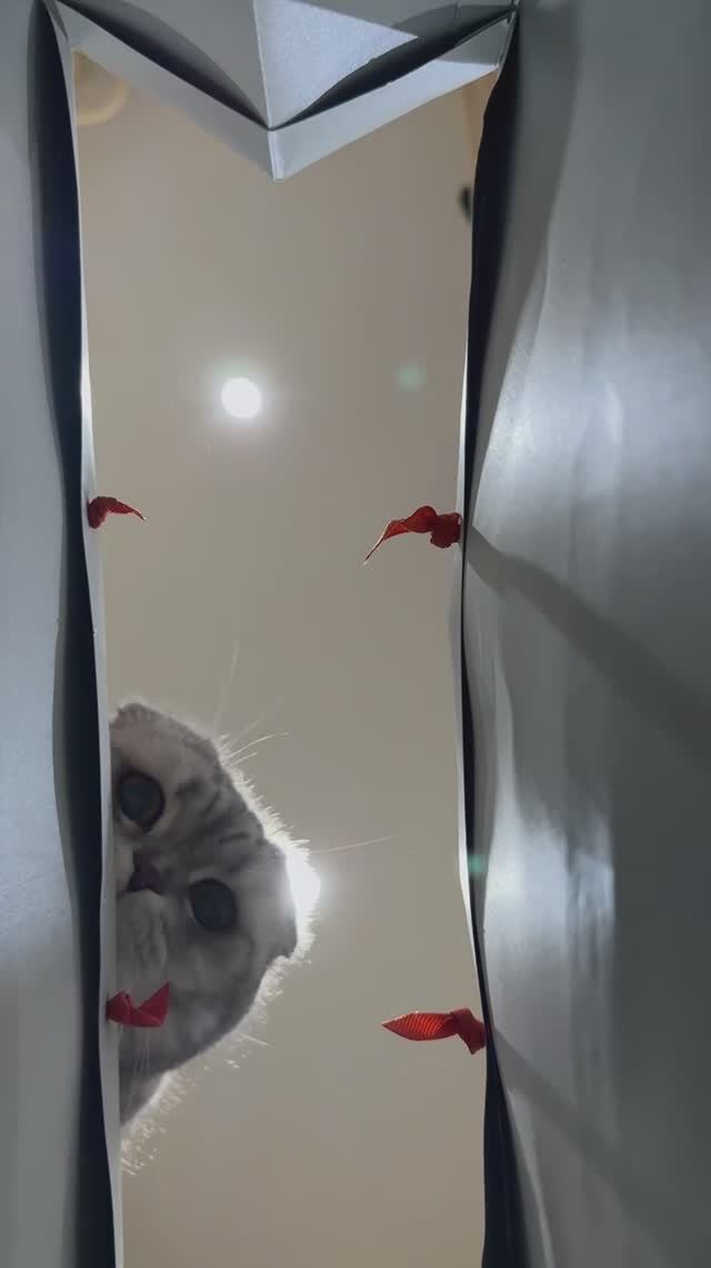 Что же там?
