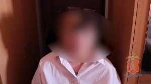 В Красноярске при попытке перевода похищенных у бабушки 1,7 млн рублей задержана пособница аферистов