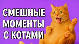 Смех до слёз: лучшие приколы №167