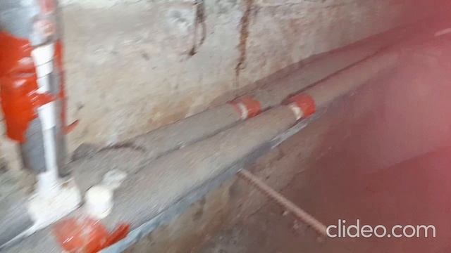 Барсики и Мурзики в подвале 2024