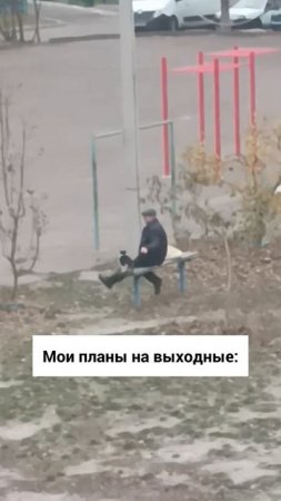 А хотел сначала провести выходные продуктивно...
