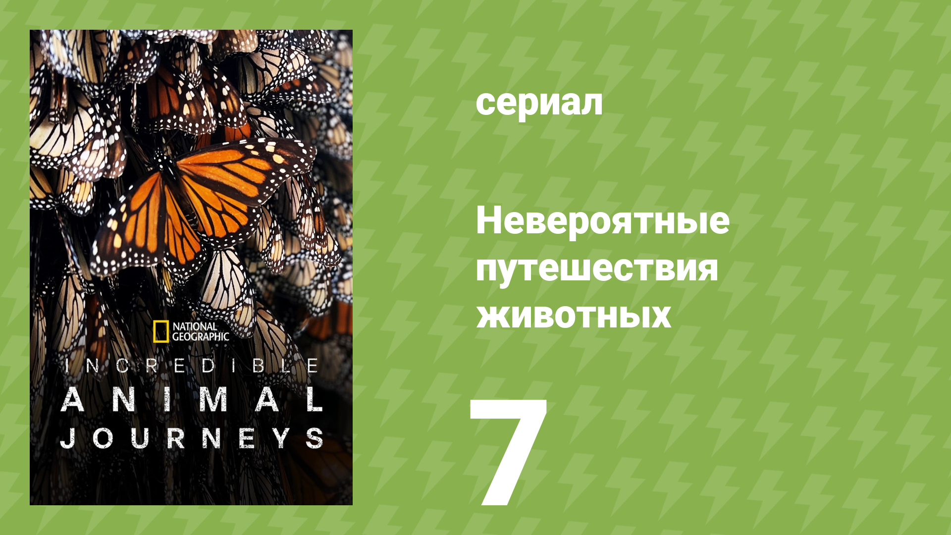 Невероятные путешествия животных 7 серия «За кулисами путешествий» (документальный сериал, 2023)