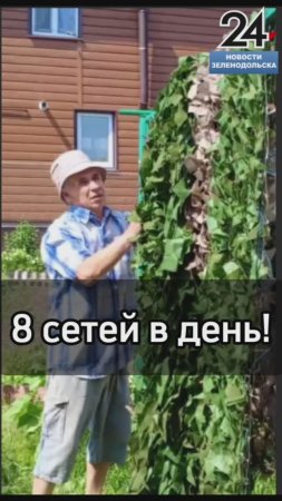 Пенсионеры помогают бойцам, плетут маскировочные сети
