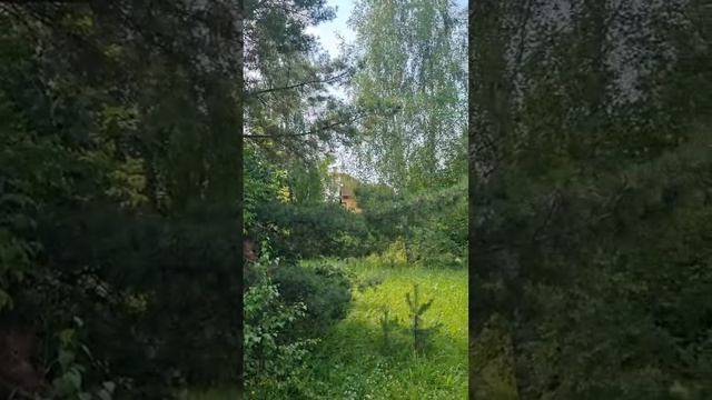 Вашему вниманию предлагается земельный участок ИЖС в деревне Марусино.