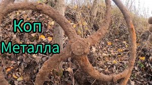 ВОТ ЭТО ДА. ВСЕГО ОДИН СИГНАЛ И ПОНЕСЛОСЬ.