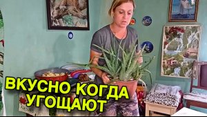 Очень ВКУСНО, Когда УГОЩАЮТ! Жарю КАРТОШКУ.