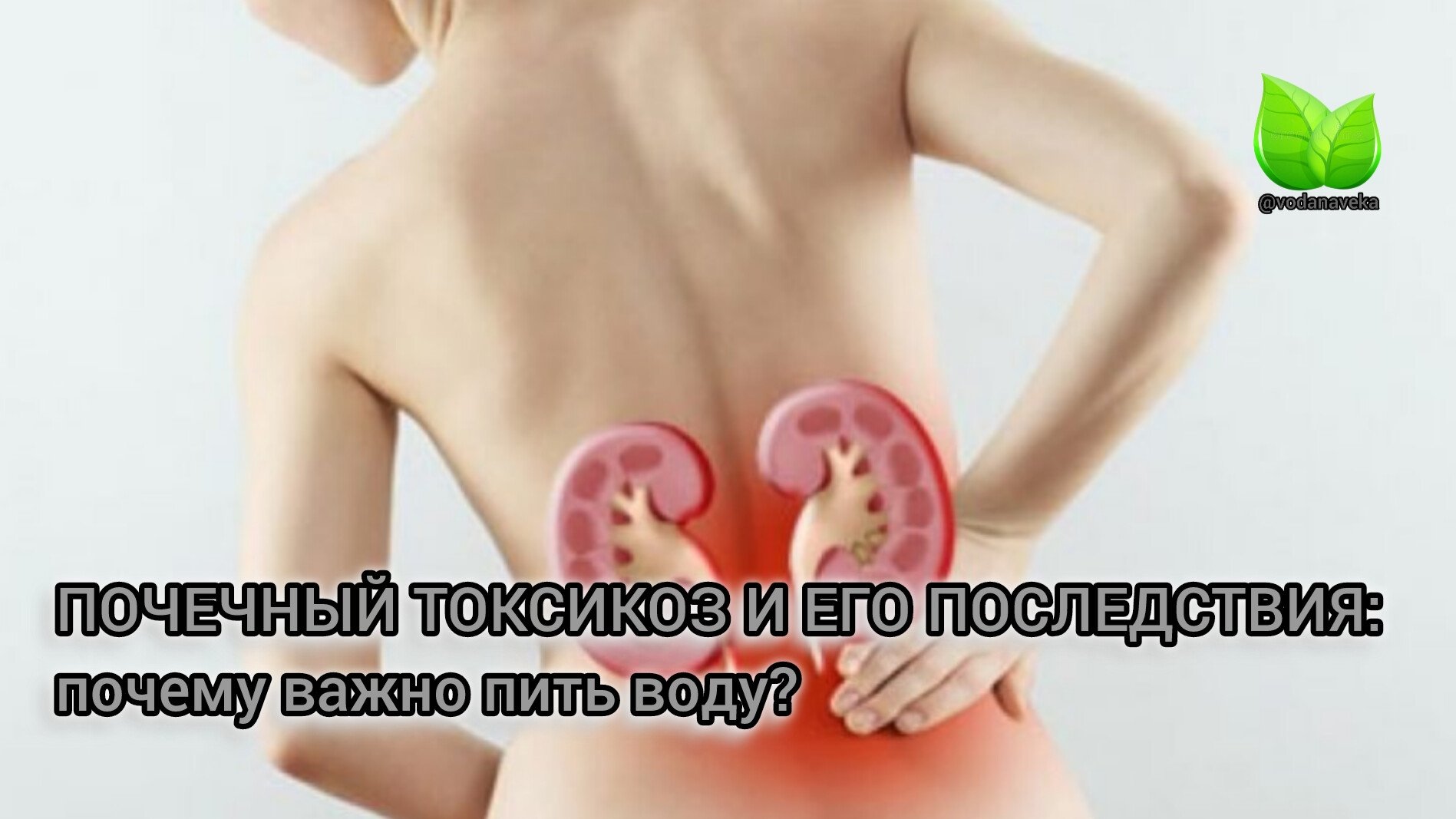 💥Почечный токсикоз и его последствия: почему важно пить воду? О.В.Похомутникова