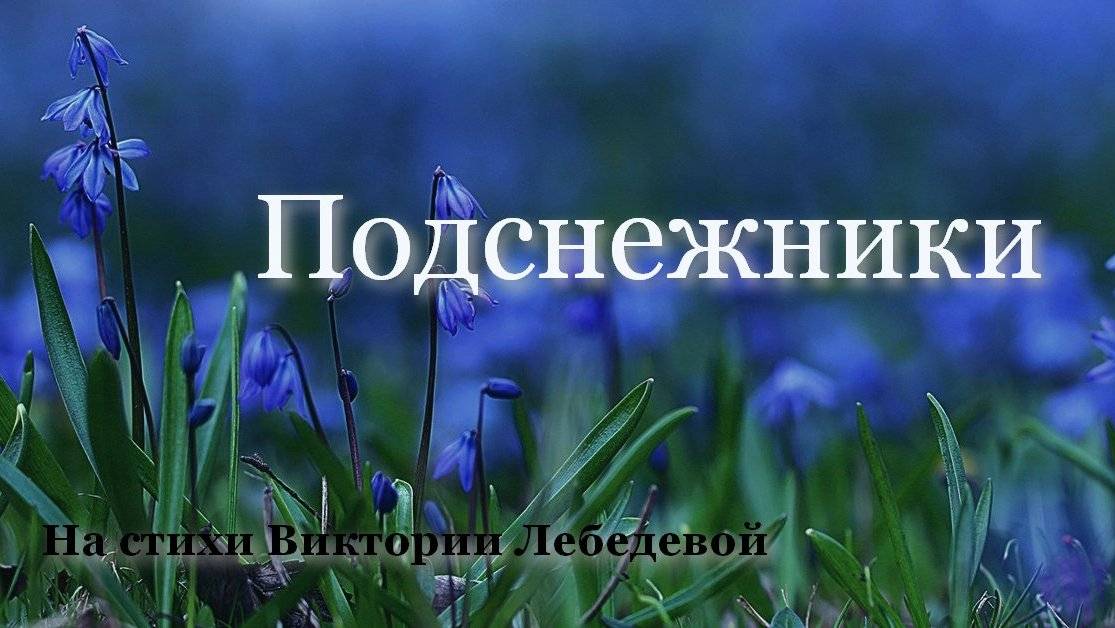 Подснежники (Песня)