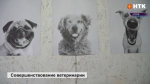 В управлении ветеринарии обсудили совершенствование системы и оказания помощи животным