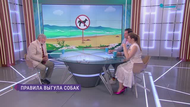 С 1 сентября запретят выгул домашних животных на пляжах