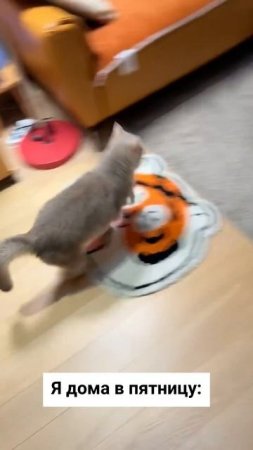 Уже скоро!