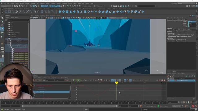 11 -Demo Shark Swim