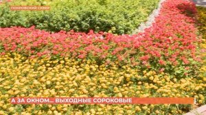 А за окном. 11 июля 2025
