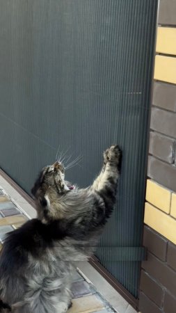 3 причины выбрать компанию: "МОСКИТОС"