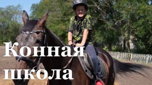 Волонтёры Народного Фронта помогают облагораживать территорию конноспортивной школы