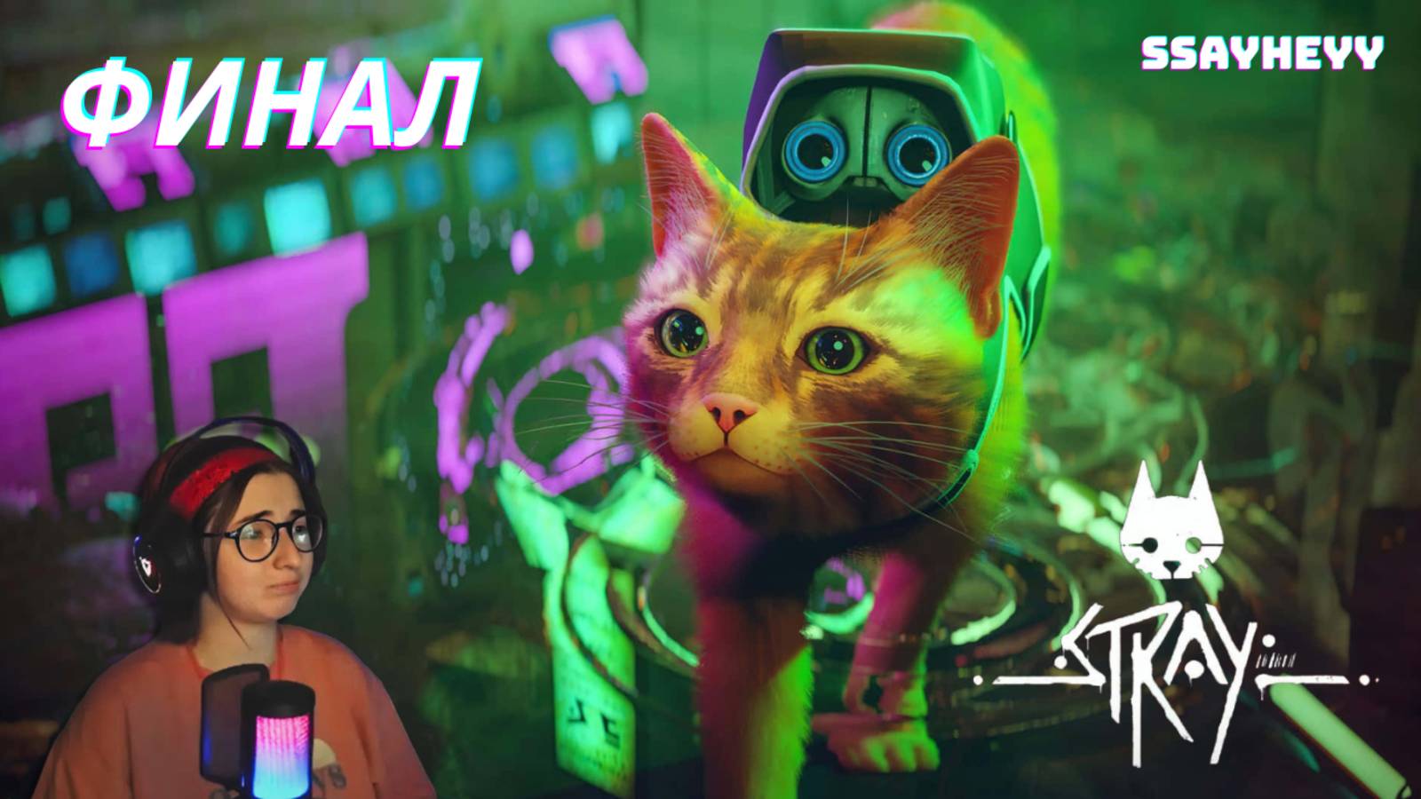 В поисках Аутсайда ➤ Stray ➤ Финал
