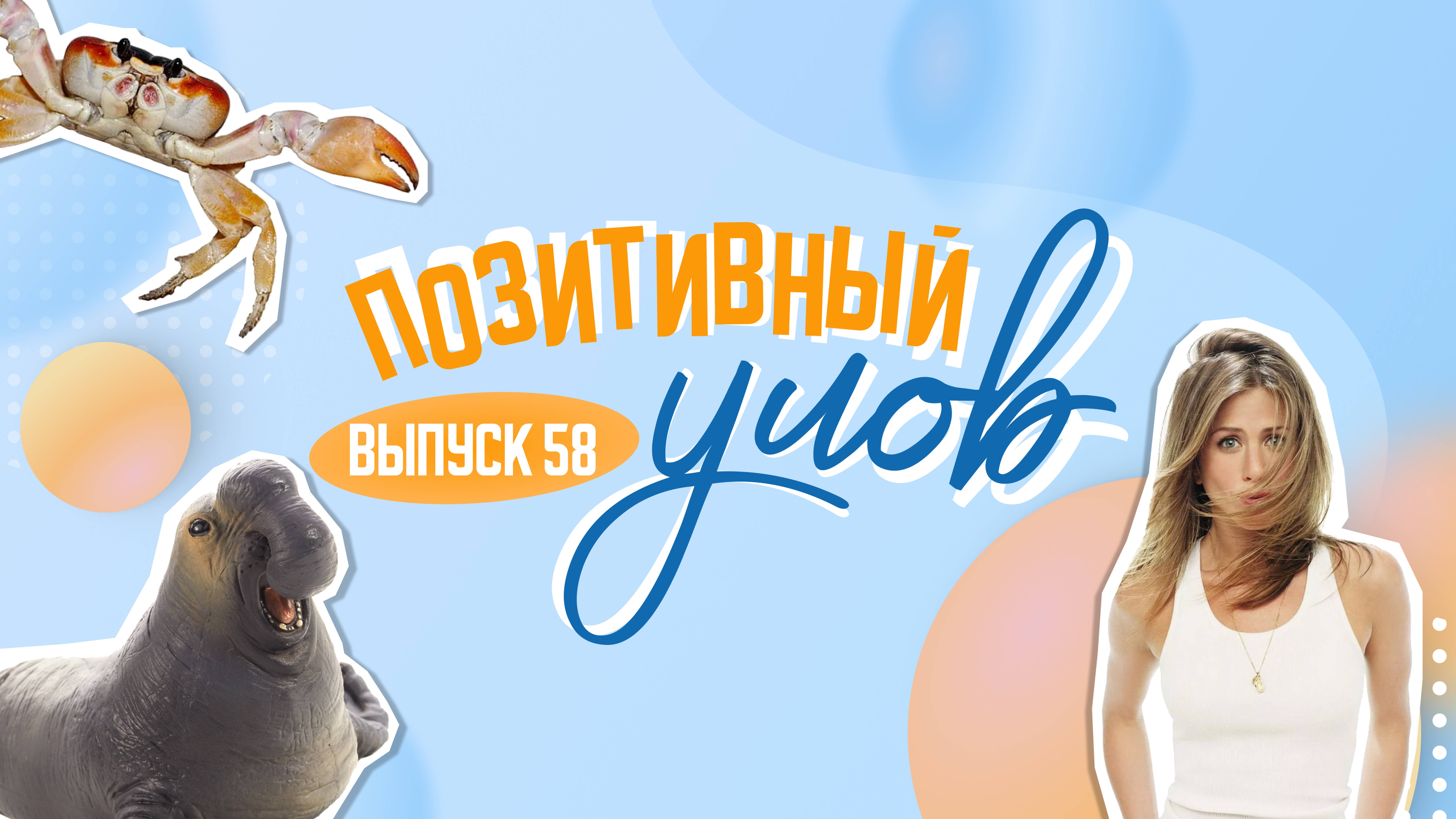 Мировой рекорд и свадебные выплаты. "Позитивный улов"