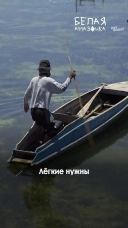 С такими друзьями только на подводную рыбалку!
 
#БелаяАмазонка@friday_ru — суббота 10:00