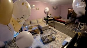 Черный список, 3 сезон, 7 выпуск