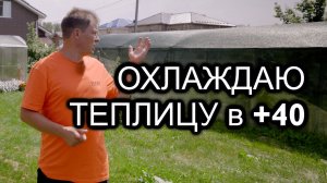 ТЕПЛИЦА ПРЕВРАТИЛАСЬ В САУНУ? Узнайте, как я СПАСАЮ урожай от ИЮЛЬСКОЙ ЖАРЫ!