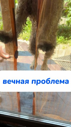 вечная проблема🙄