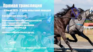 Прямая трансляция 11 Июля 2025 - 17 беговой день для лошадей рысистых пород