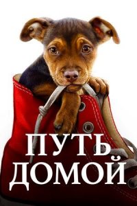 Путь домой (фильм, 2019)