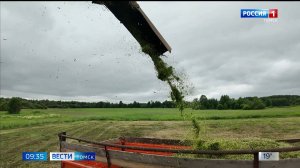 Вести-Томск, выпуск от 11.07.2025 11:30
