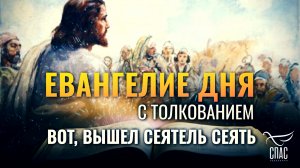 «Вот, вышел сеятель сеять.» / ЕВАНГЕЛИЕ ДНЯ
