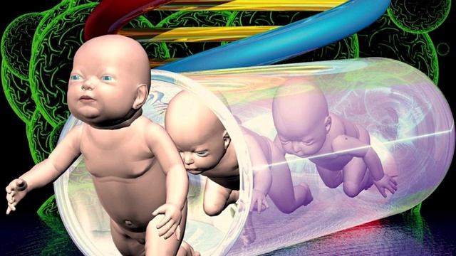 ДЕТИ ИЗ ПРОБИРКИ. Что происходит после смерти с существами, у которых отсутствует Божественная Душа